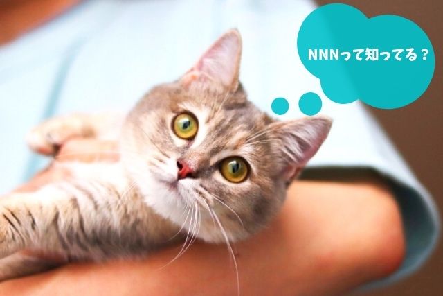 NNNの実態とは？猫調査員にロックオンされたら逃げられない！ - 日本猫ねこ協会